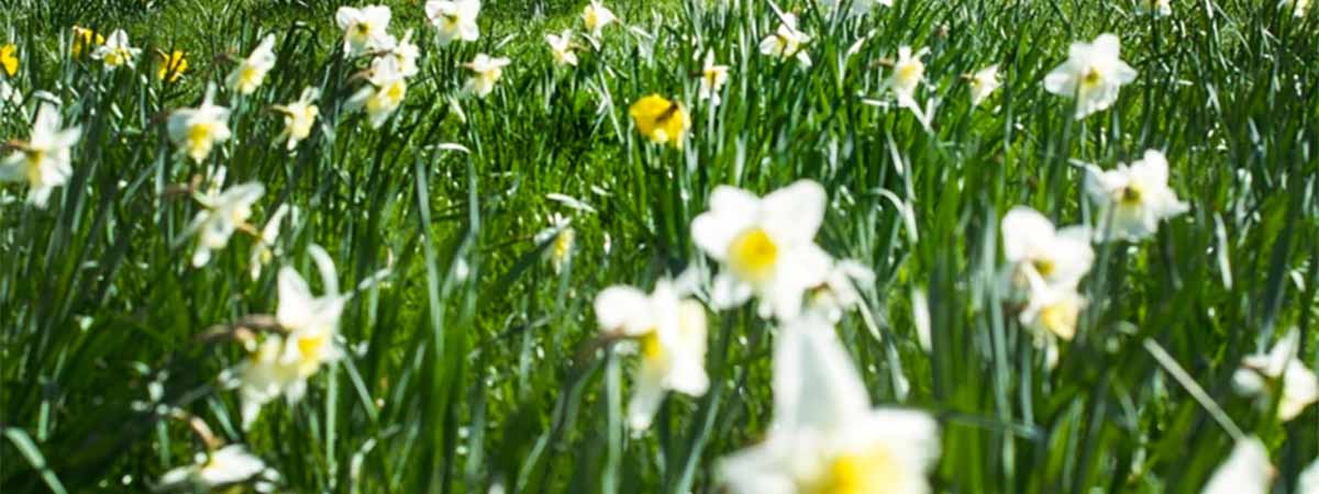 Lightweight Workwear for British Spring Time