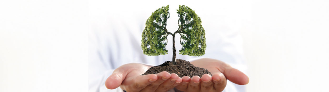 Why Respiratory PPE Matters in Every Industry